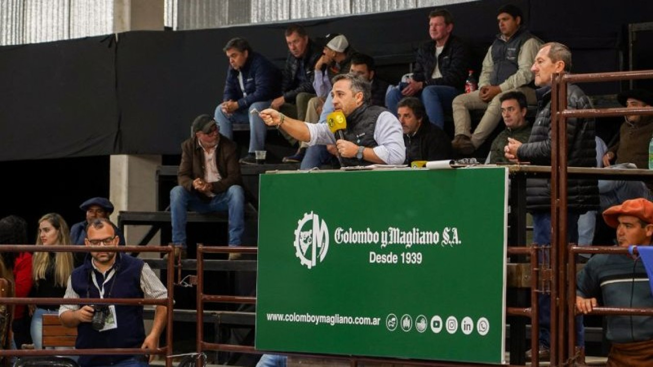 Nacional Brahman: $40 millones por el 50% del Gran Campeón